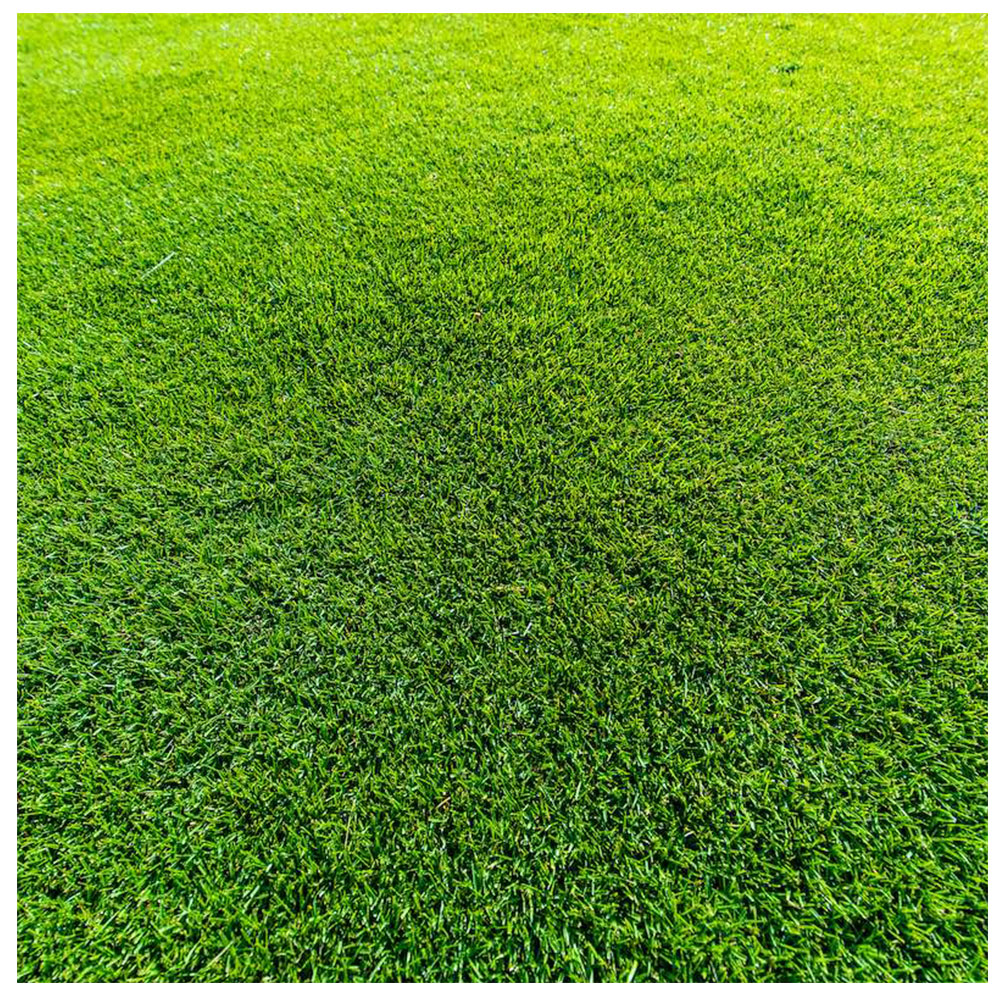 Instant – Real Grass – TifTuf Bermuda $19p/sqm – Landscaping Material ...